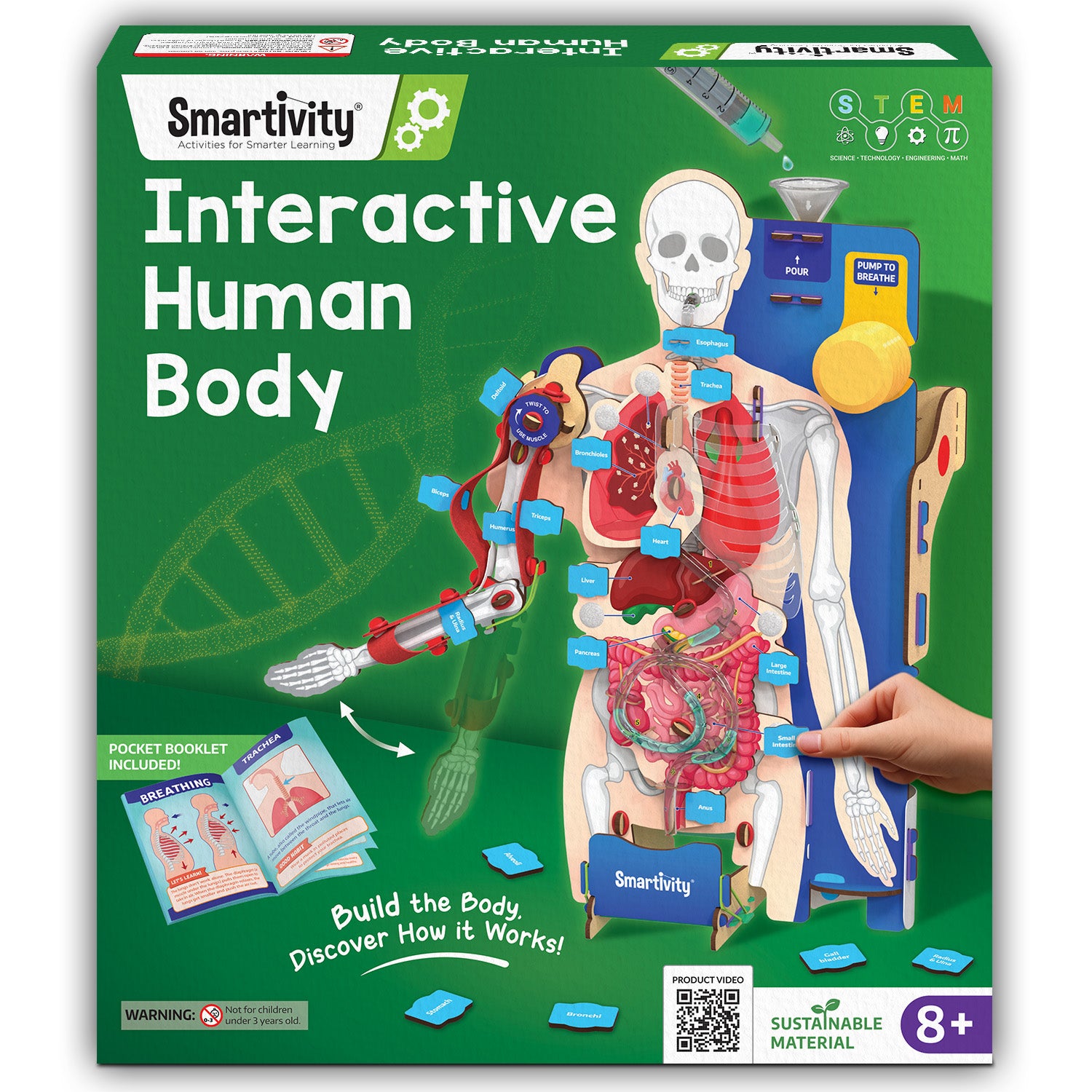 Interactive Human Body | 8 - 14 years | DIY STEM Construc...